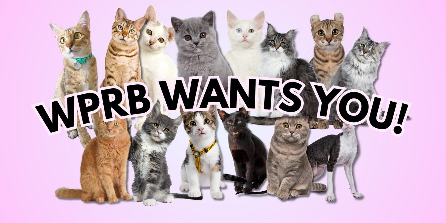 Summer Community DJ Recruitment – WPRB 103.3 FM – Princeton, NJ